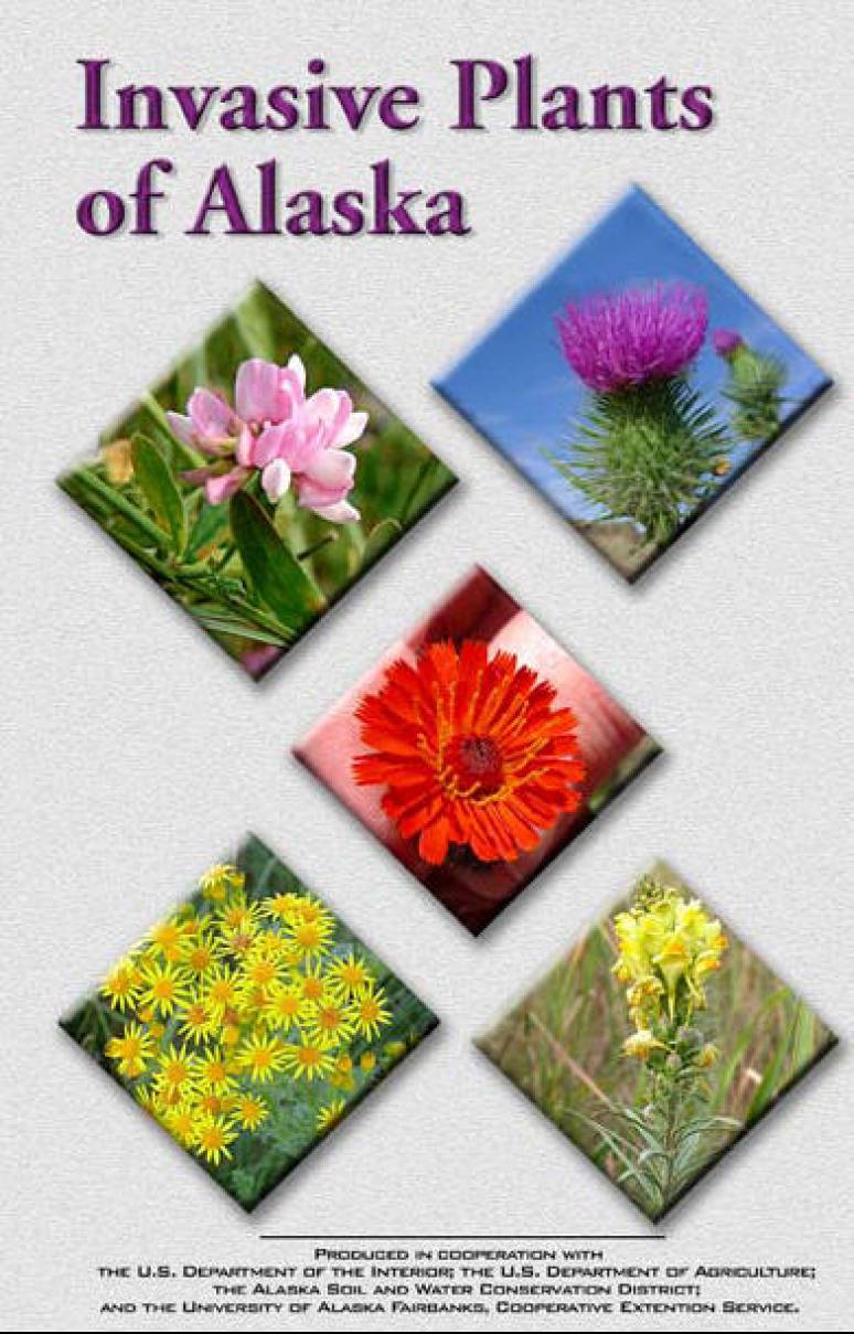 Invasive Plants of Alaska | U.S. Government Bookstore